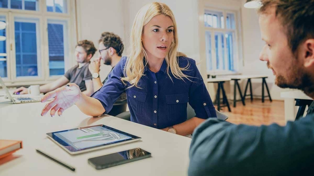 About Us - The Hawk Ridge Systems Story